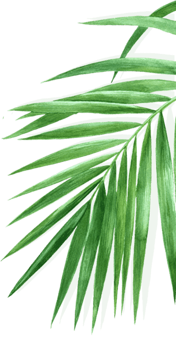 Blockade Runner Beach Resort: Wrightsville Beach Resorts